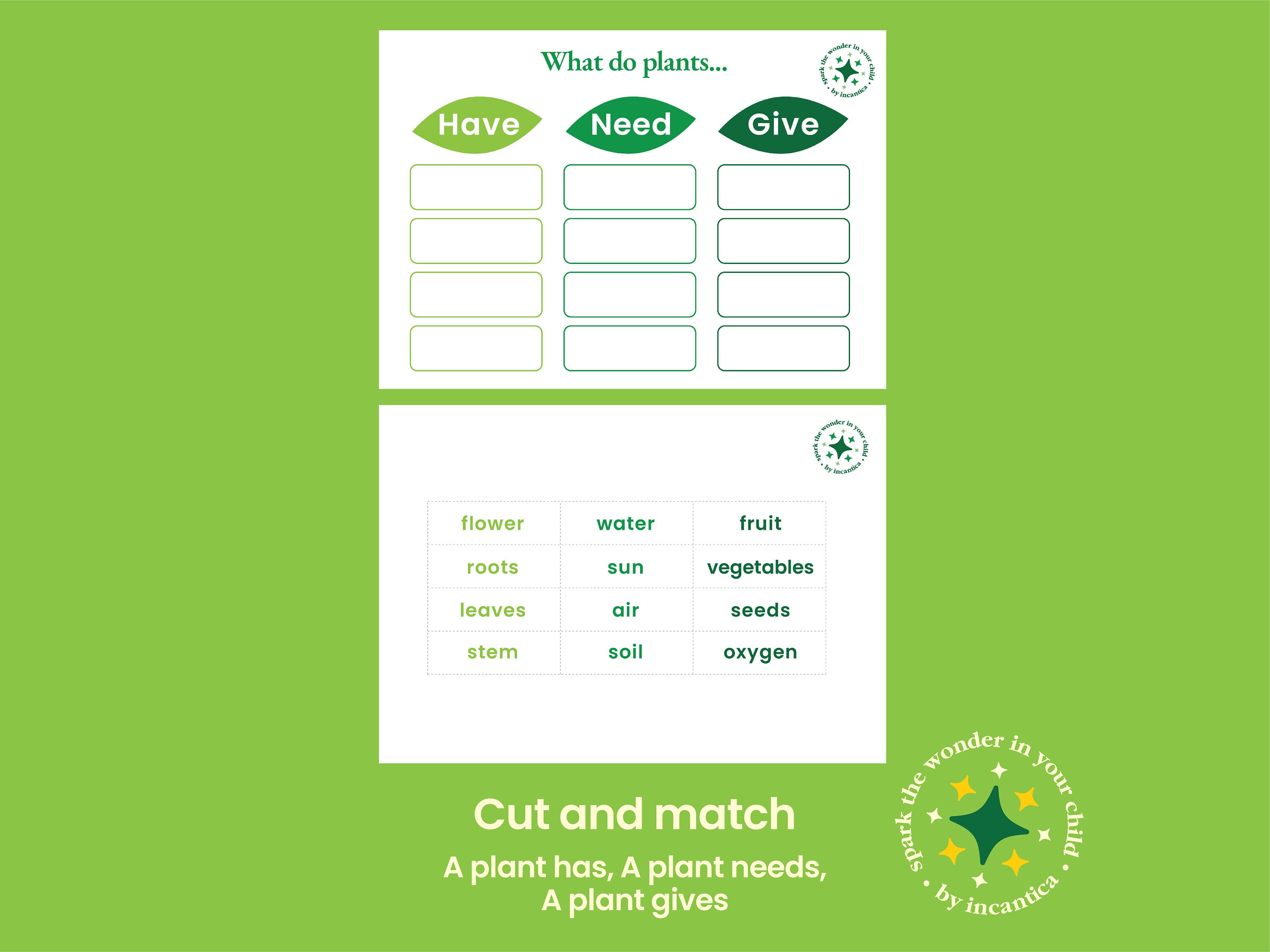 Printable Plant Learning Bundle: Parts of Plants, Life Cycle, Nature ...