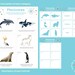 Animal Classification Printable: Sorting by Diet - Etsy