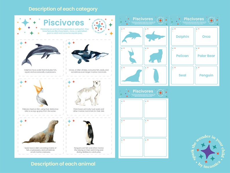 Animal Classification Printable: Sorting by Diet - Etsy