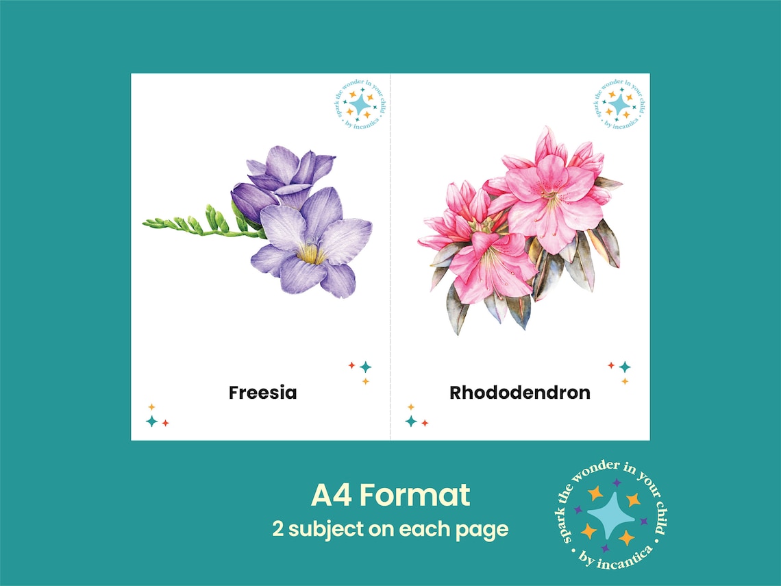 60 Watercolor Flower Flashcards, Montessori Learning (printable PDF) - Etsy