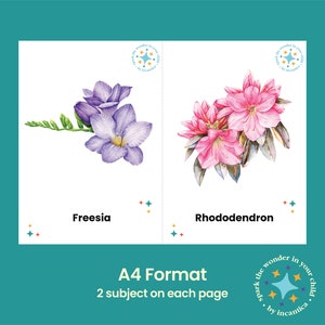 60 Watercolor Flower Flashcards, Montessori Learning (printable PDF) - Etsy