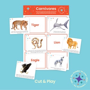Animal Classification Printable: Sorting by Diet - Etsy