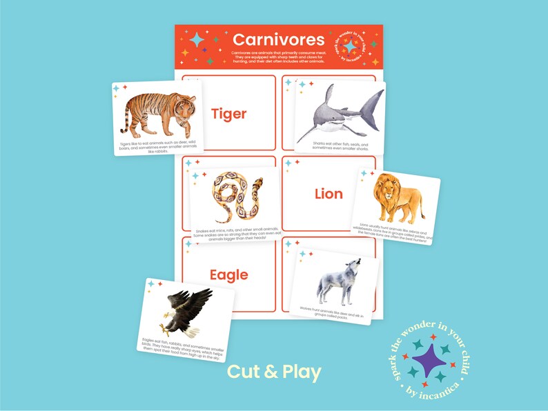 Animal Classification Printable: Sorting by Diet - Etsy