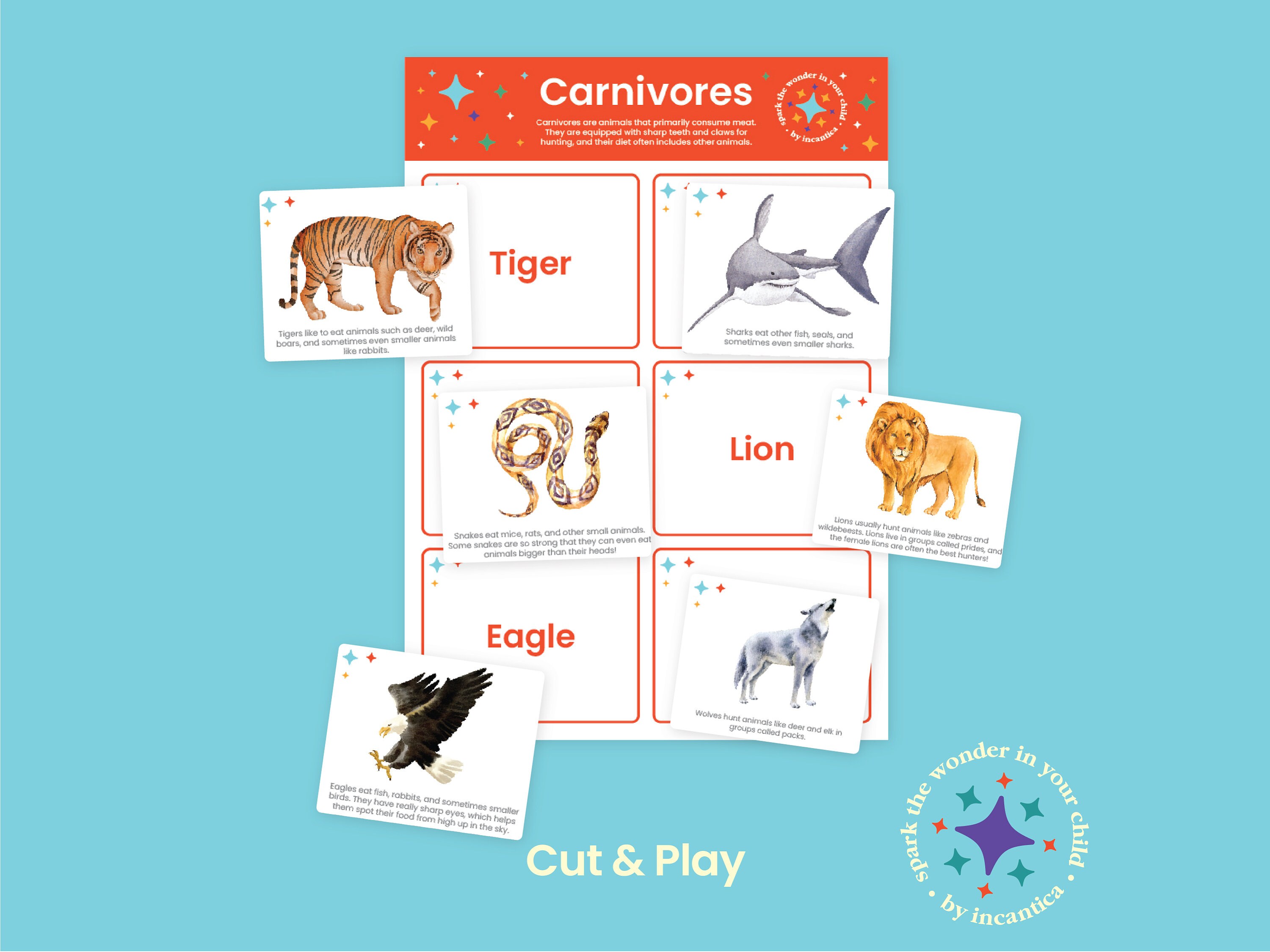 Animal Classification Printable: Sorting by Diet - Etsy