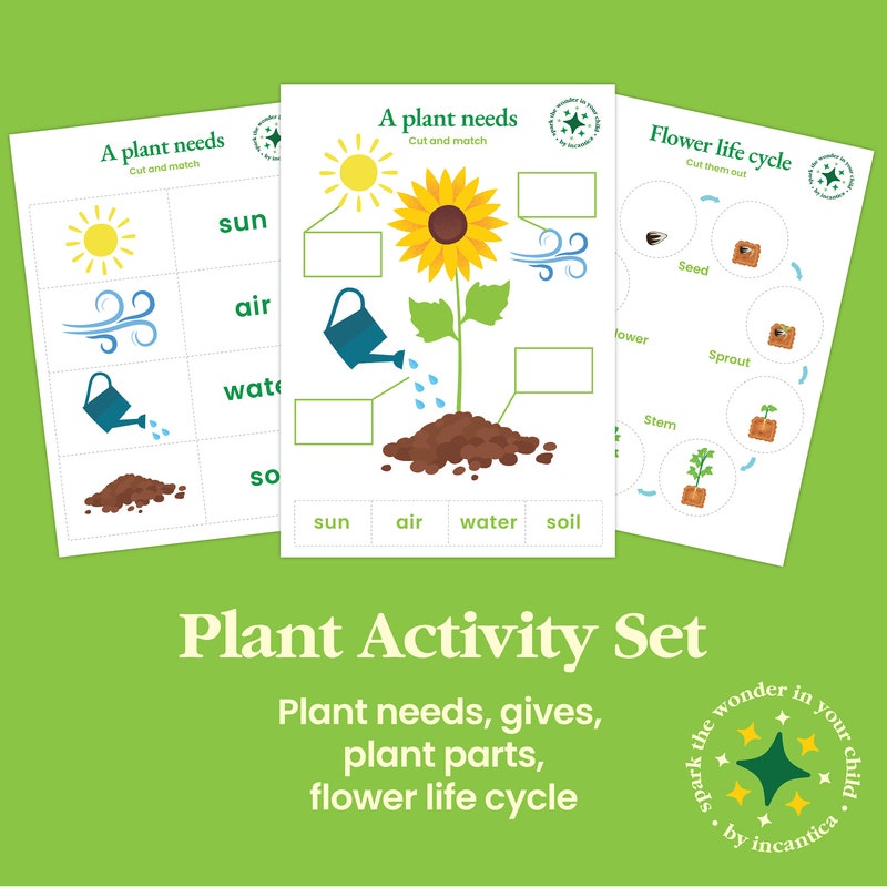 Plant Life Cycle - Etsy
