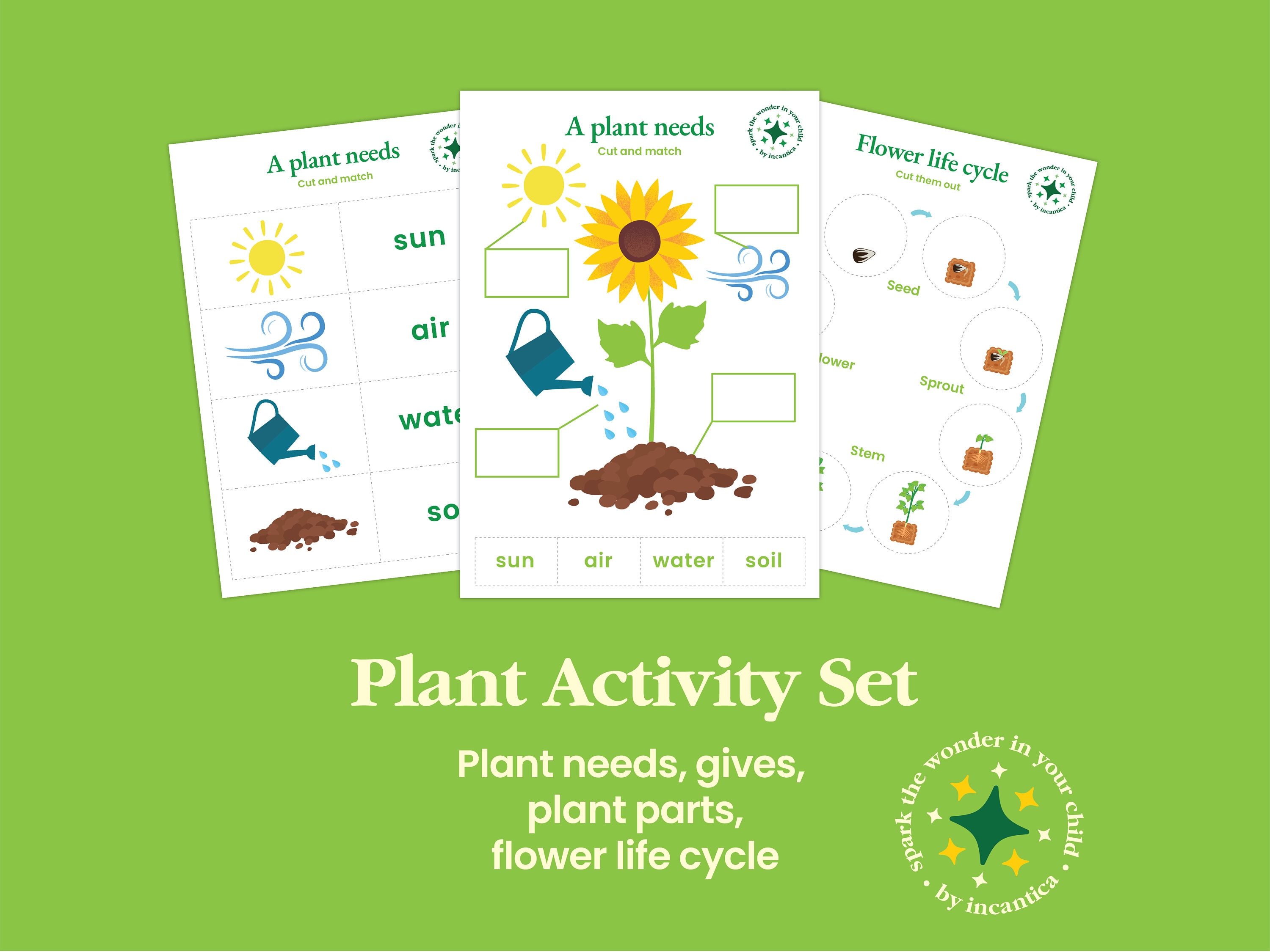 Printable Plant Learning Bundle: Parts of Plants, Life Cycle, Nature ...