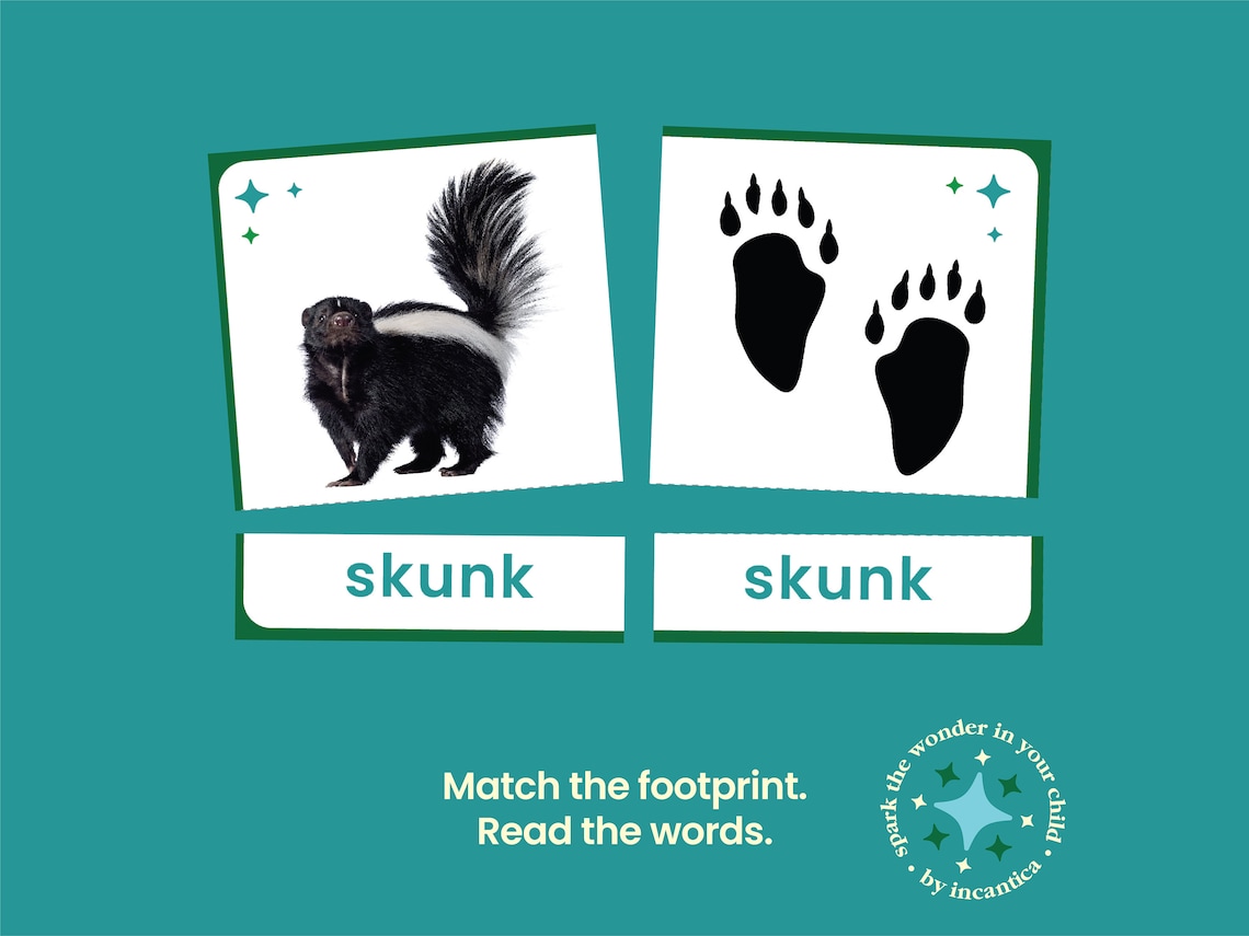 Woodland Tracks Matching 10 Animal Footprints, Learning Activity for ...
