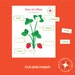 Printable Strawberry Learning Bundle: Life Cycle, Parts of Strawberry ...