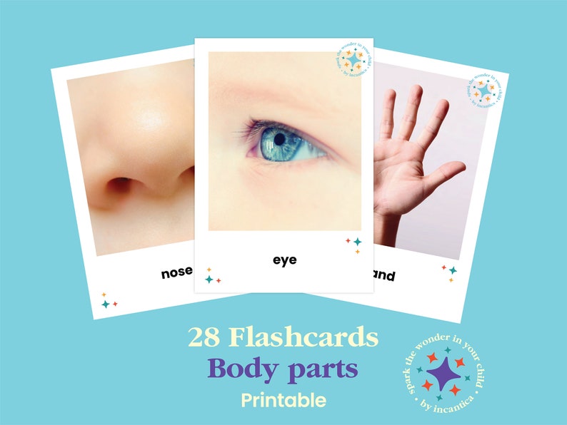 Body Parts Flashcards Set: 28 Cards, Photographic Images, Learn Anatomy ...