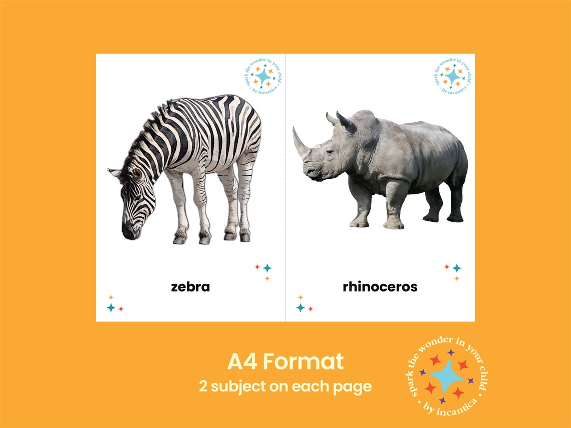 50 Mammal Animal Flashcards Set: Educational Learning, Photographic ...
