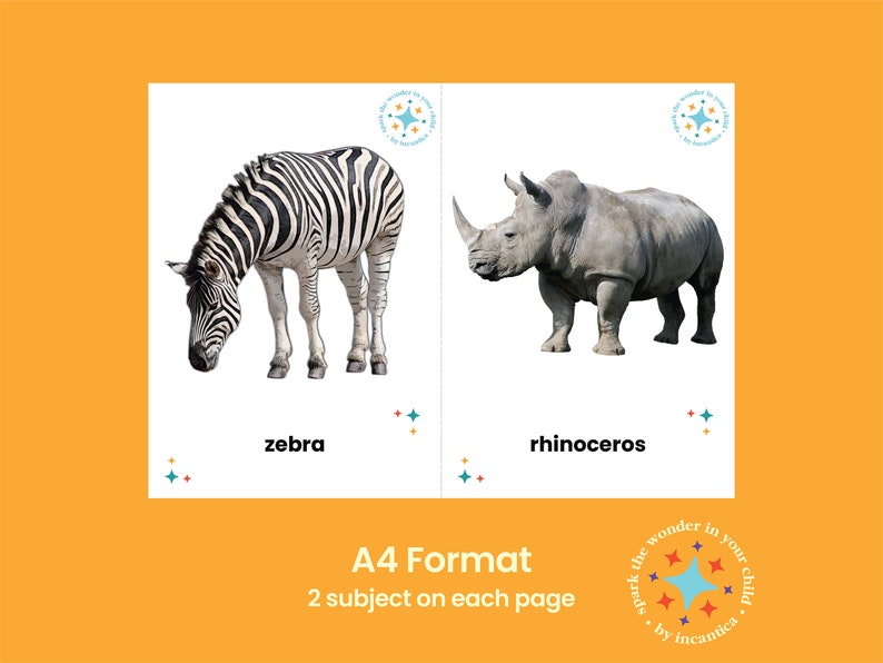 50 Mammal Animal Flashcards Set: Educational Learning, Photographic ...