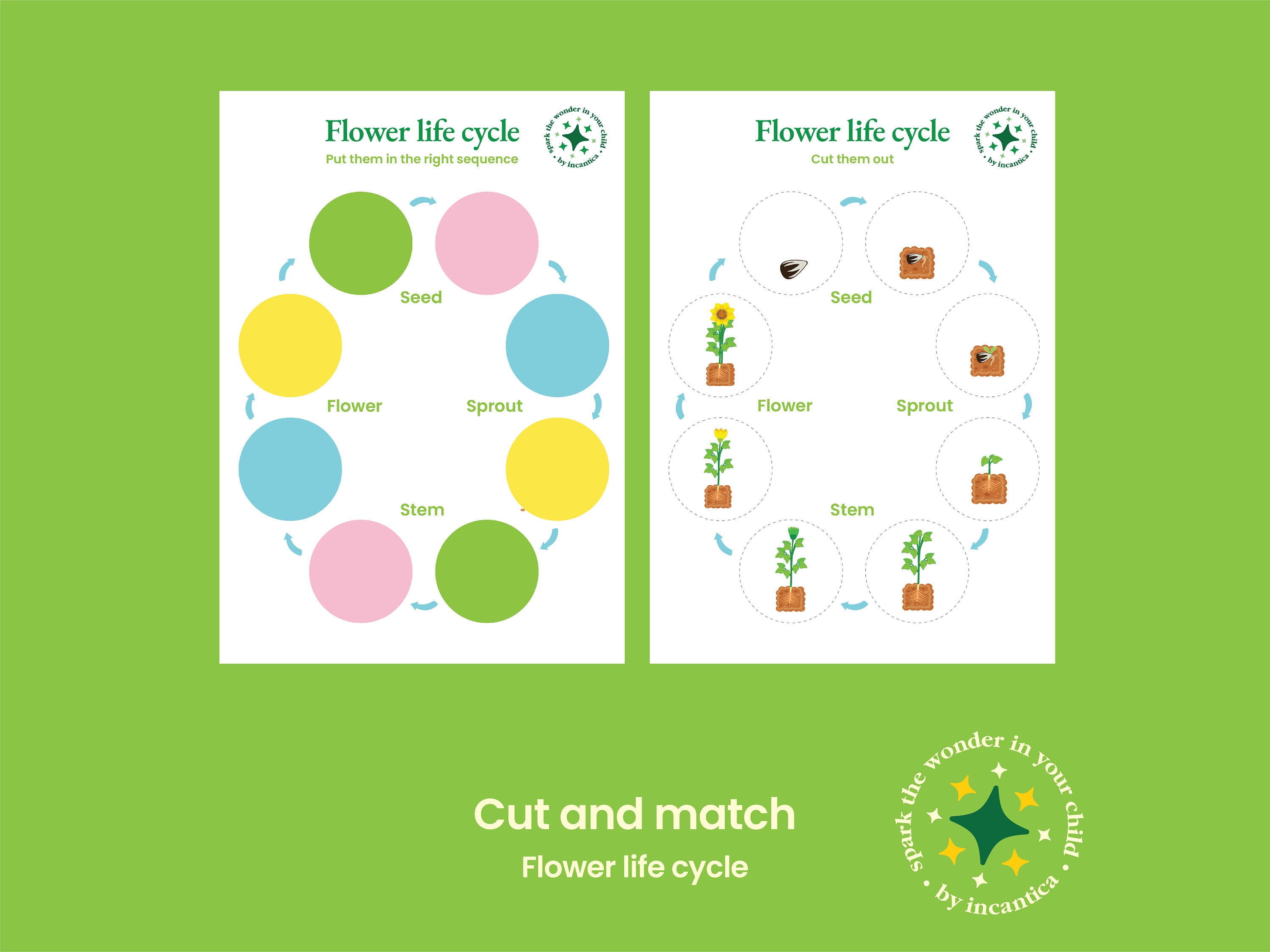 Printable Plant Learning Bundle: Parts of Plants, Life Cycle, Nature ...