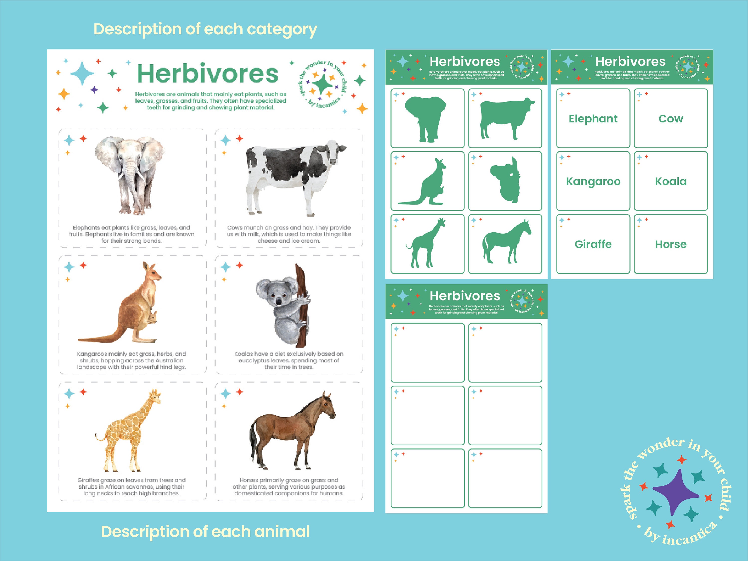 Animal Classification Printable: Sorting by Diet - Etsy