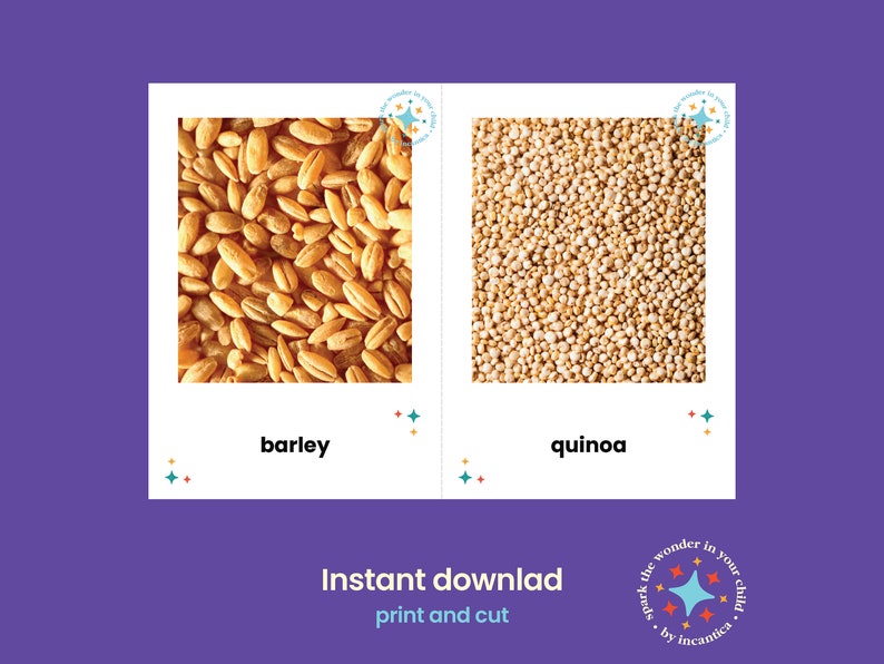 150 Fruit & Vegetables Printable Flashcards Bundle. Fruit, Veg, Beans ...