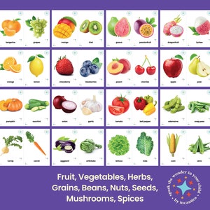 150 Fruit & Vegetables Printable Flashcards Bundle. Fruit, Veg, Beans ...