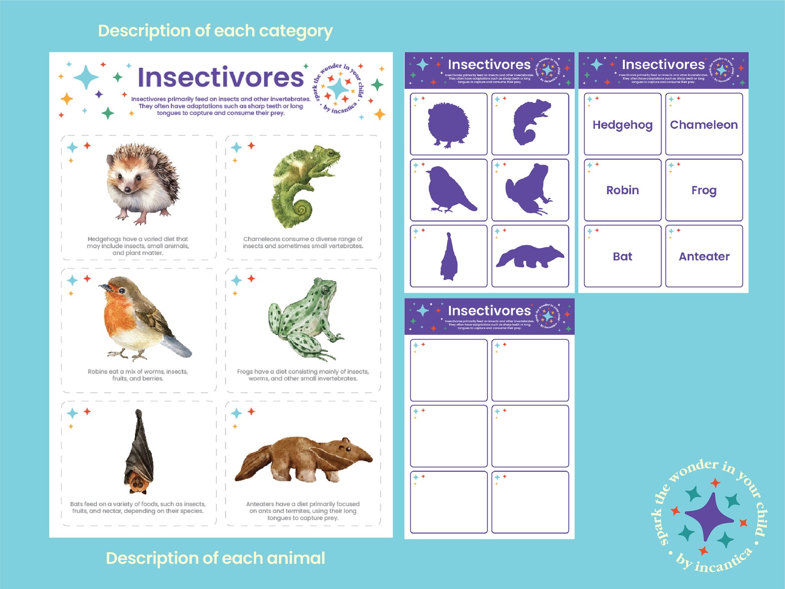Animal Classification Printable: Sorting by Diet - Etsy
