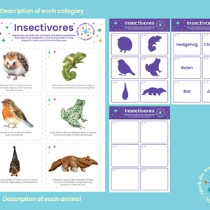 Animal Classification Printable: Sorting by Diet - Etsy