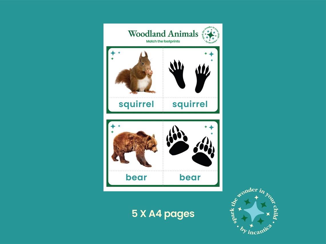 Woodland Tracks Matching 10 Animal Footprints, Learning Activity for ...