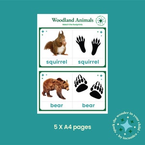 Woodland Tracks Matching 10 Animal Footprints, Learning Activity for ...