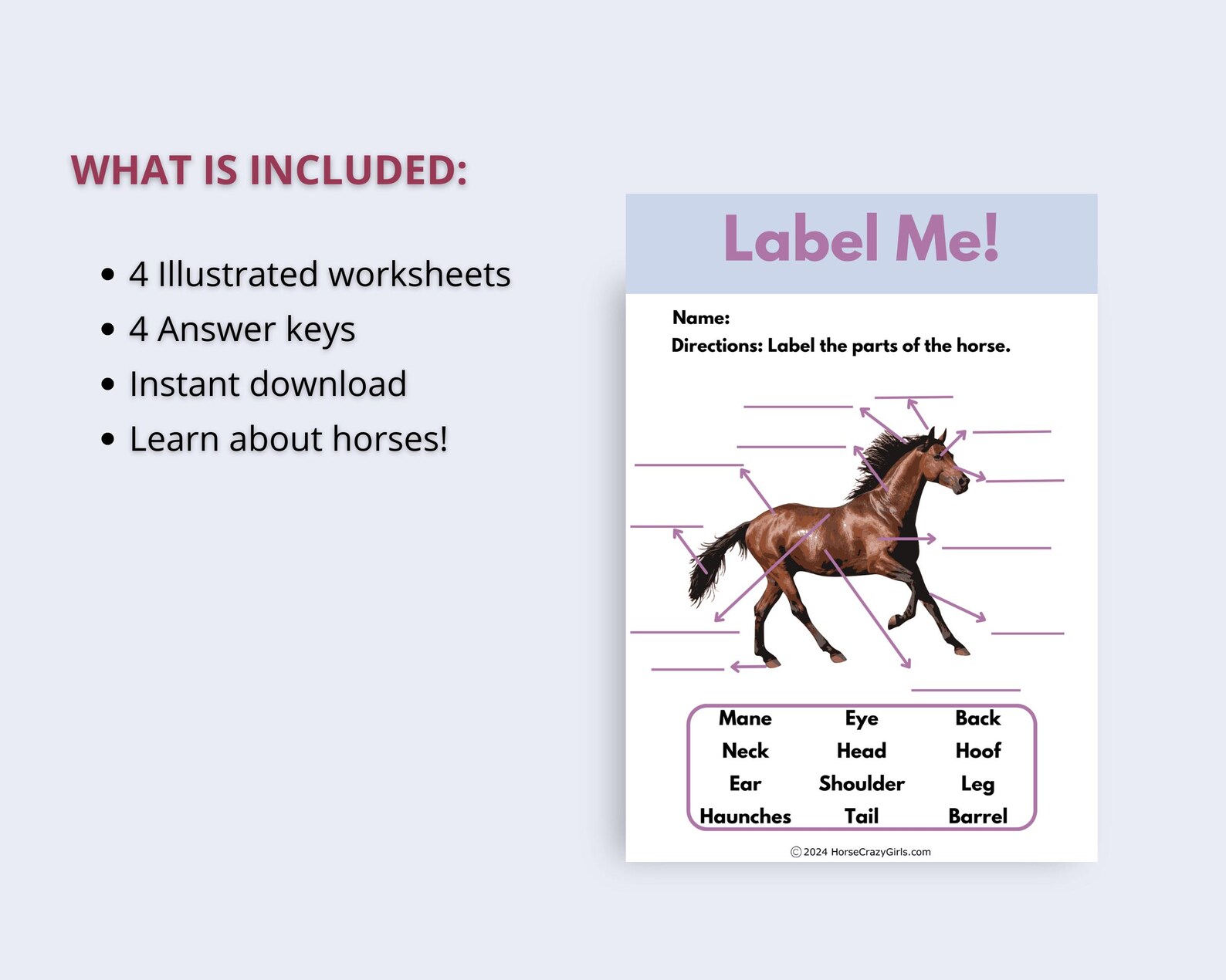 Label the Parts of the Horse 4 Worksheets - Etsy Canada