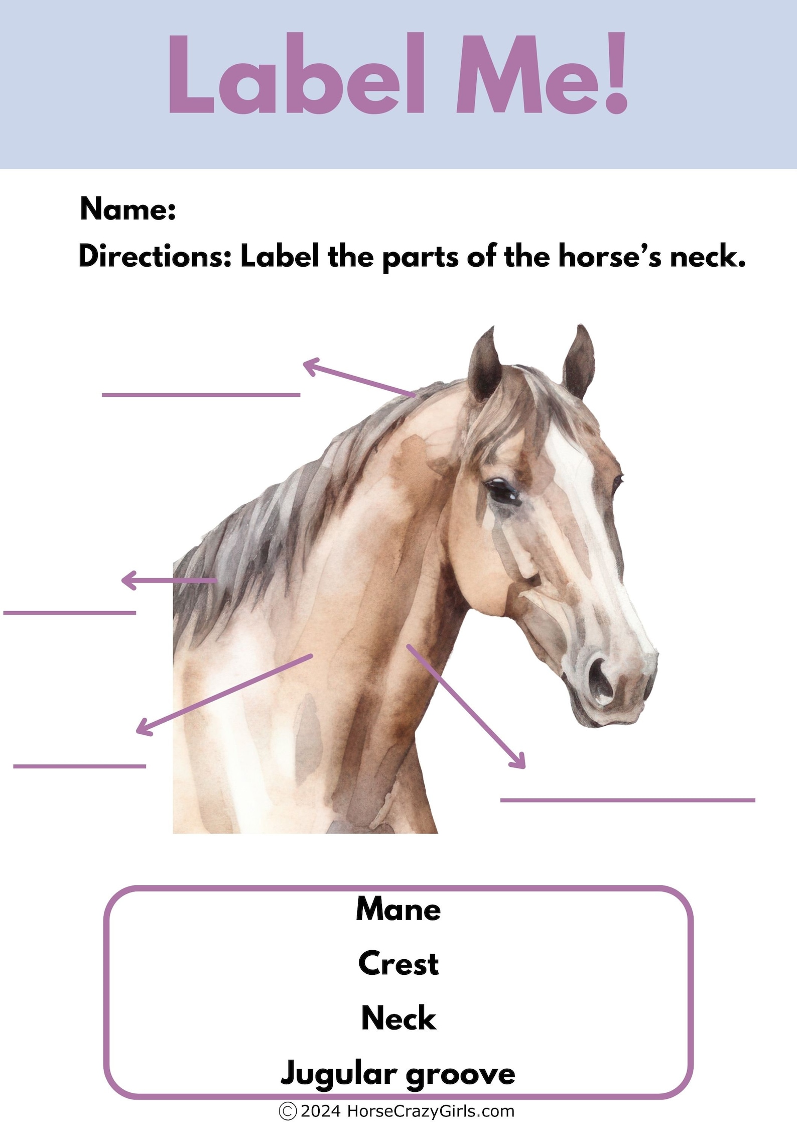 Label the Parts of the Horse 4 Worksheets - Etsy Canada