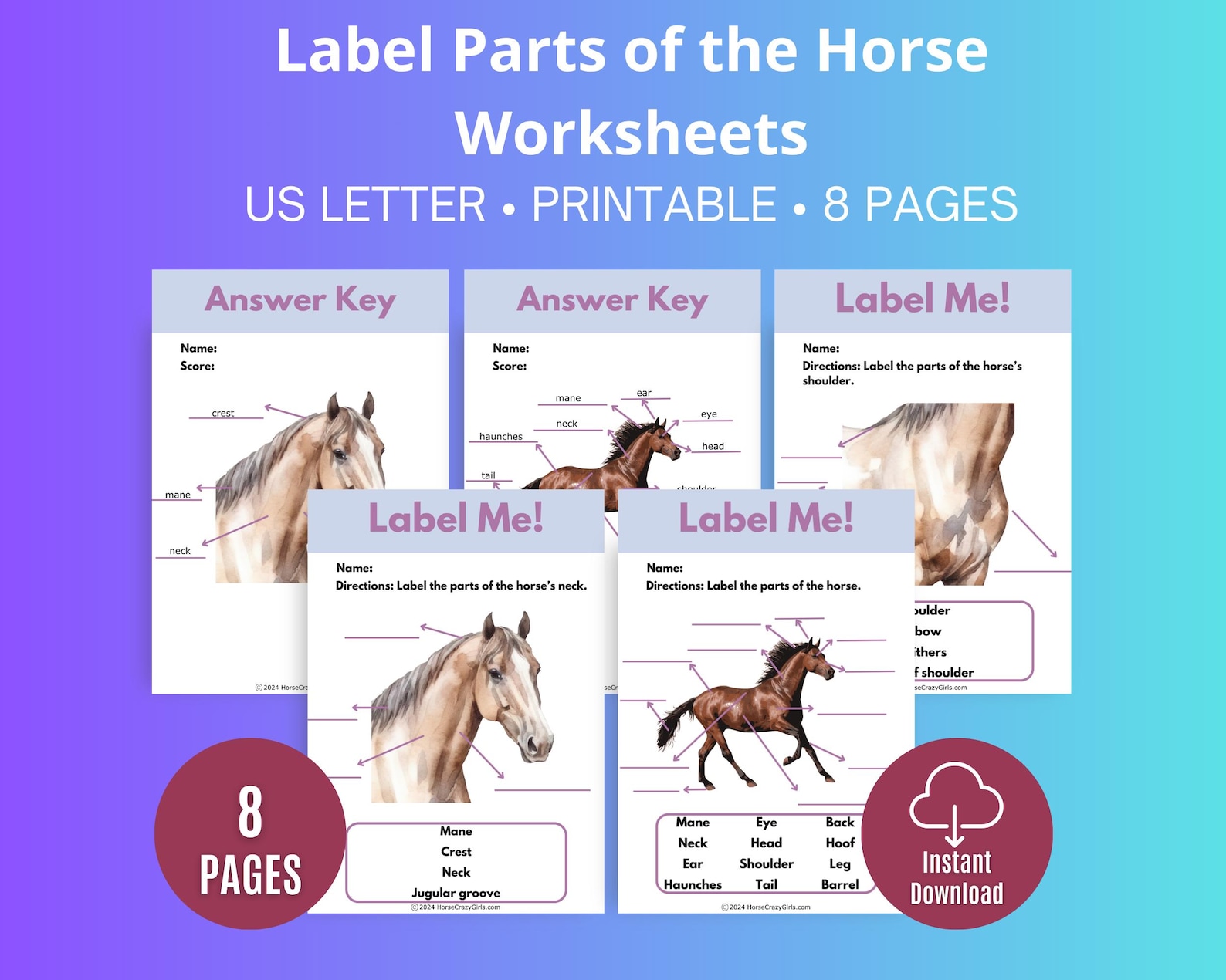 Label the Parts of the Horse 4 Worksheets - Etsy Canada