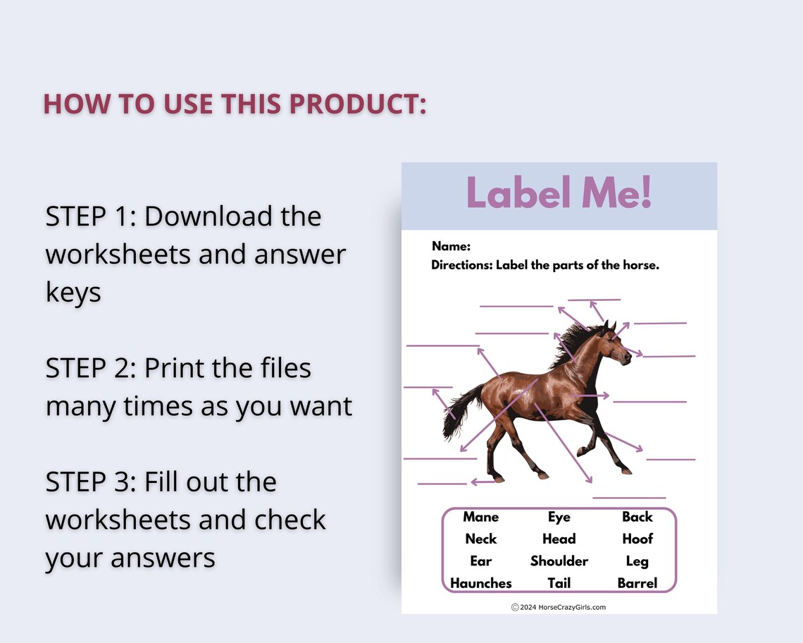 Label the Parts of the Horse 4 Worksheets - Etsy Canada