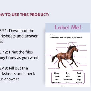 Label the Parts of the Horse 4 Worksheets - Etsy Canada