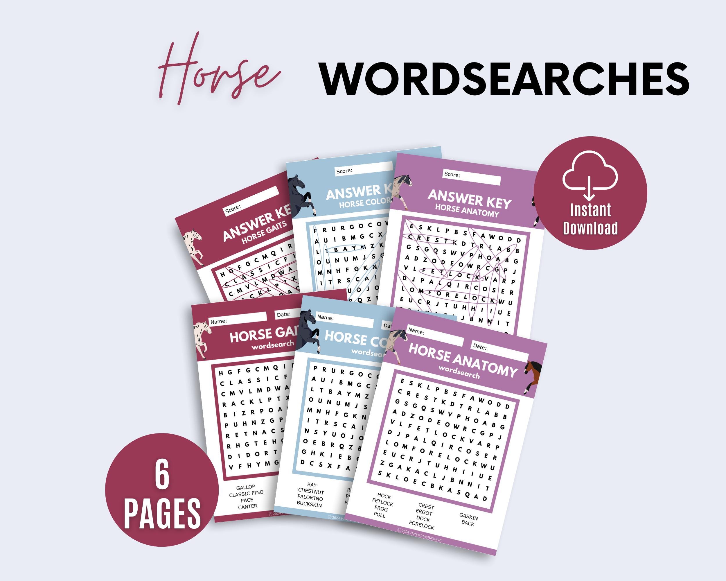 Horse Wordsearch, Horse Activity Page, Horse Birthday Game, Horse Camp ...