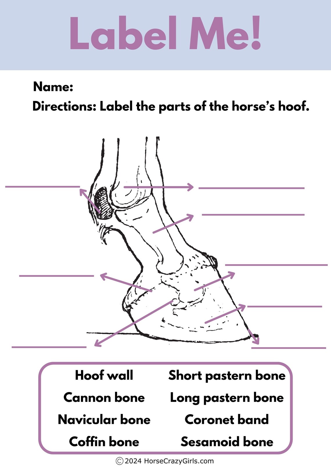 4 Label the Hoof/parts of the Horse's Leg Worksheets - Etsy