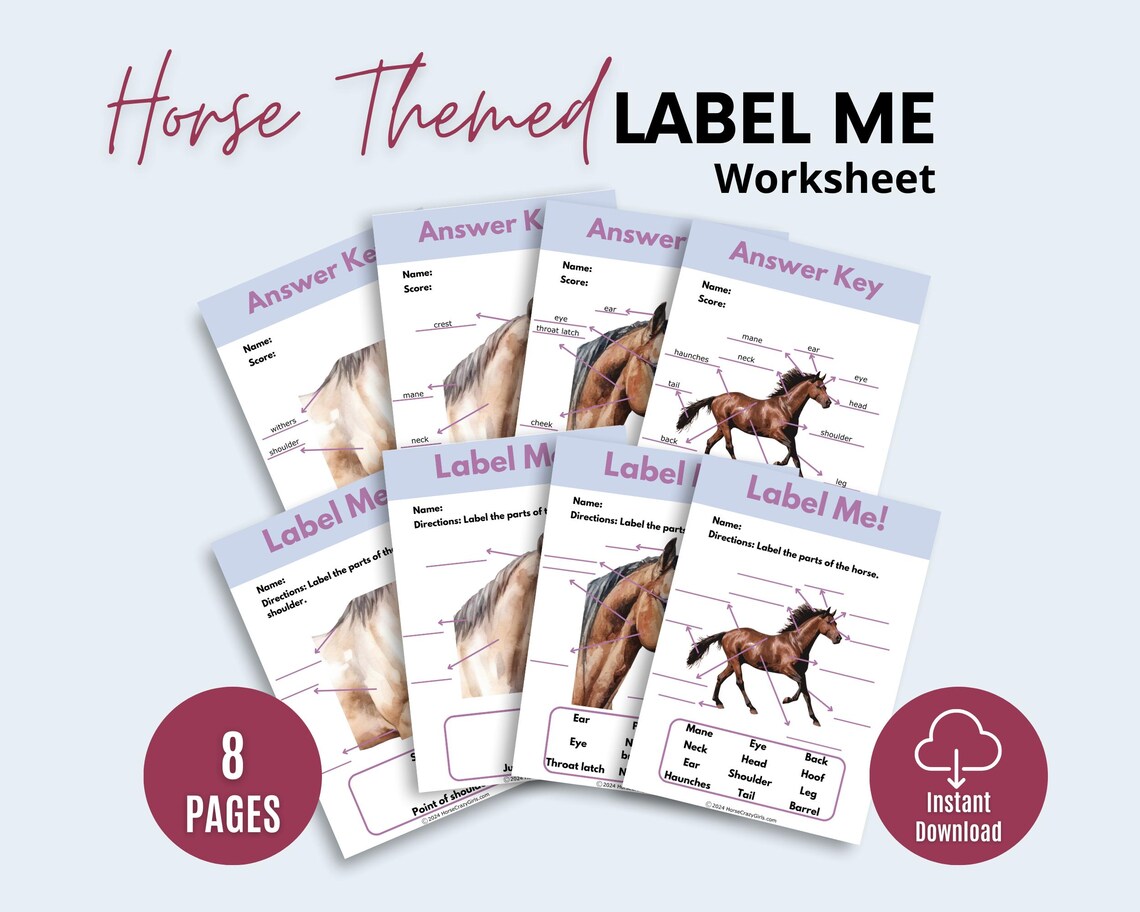 Label the Parts of the Horse 4 Worksheets - Etsy Canada