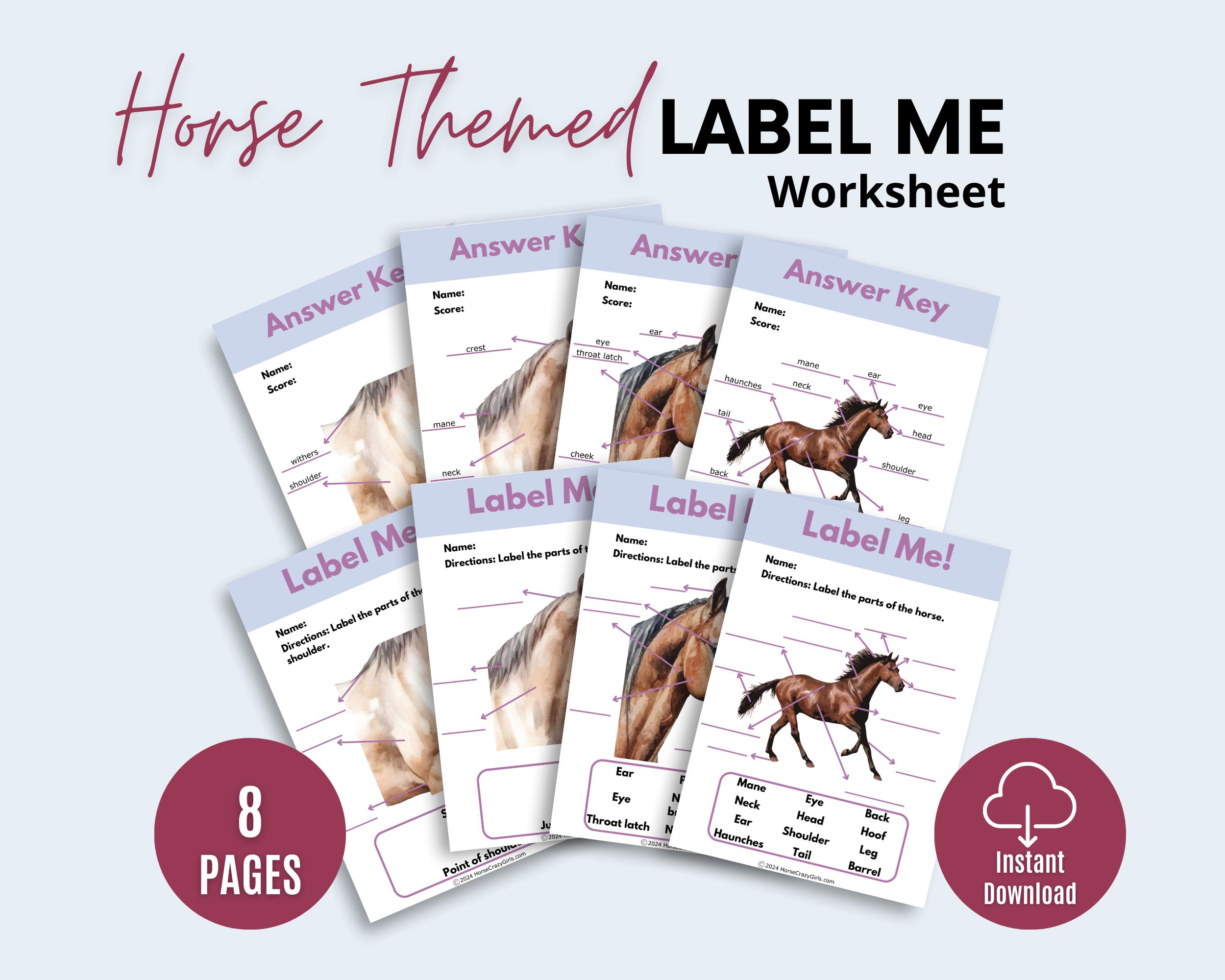 Label the Parts of the Horse 4 Worksheets - Etsy Canada