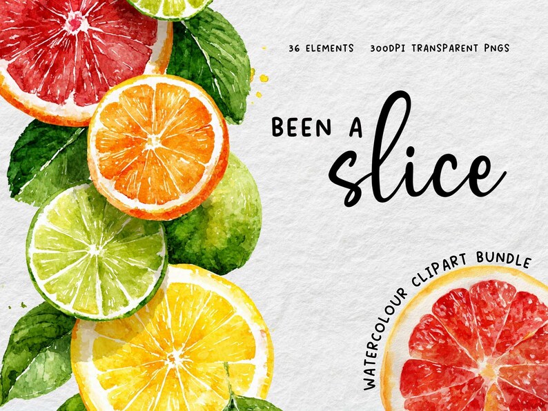 Been a Slice - Summer Citrus Watercolour Clipart Bundle | 36 PNG ...