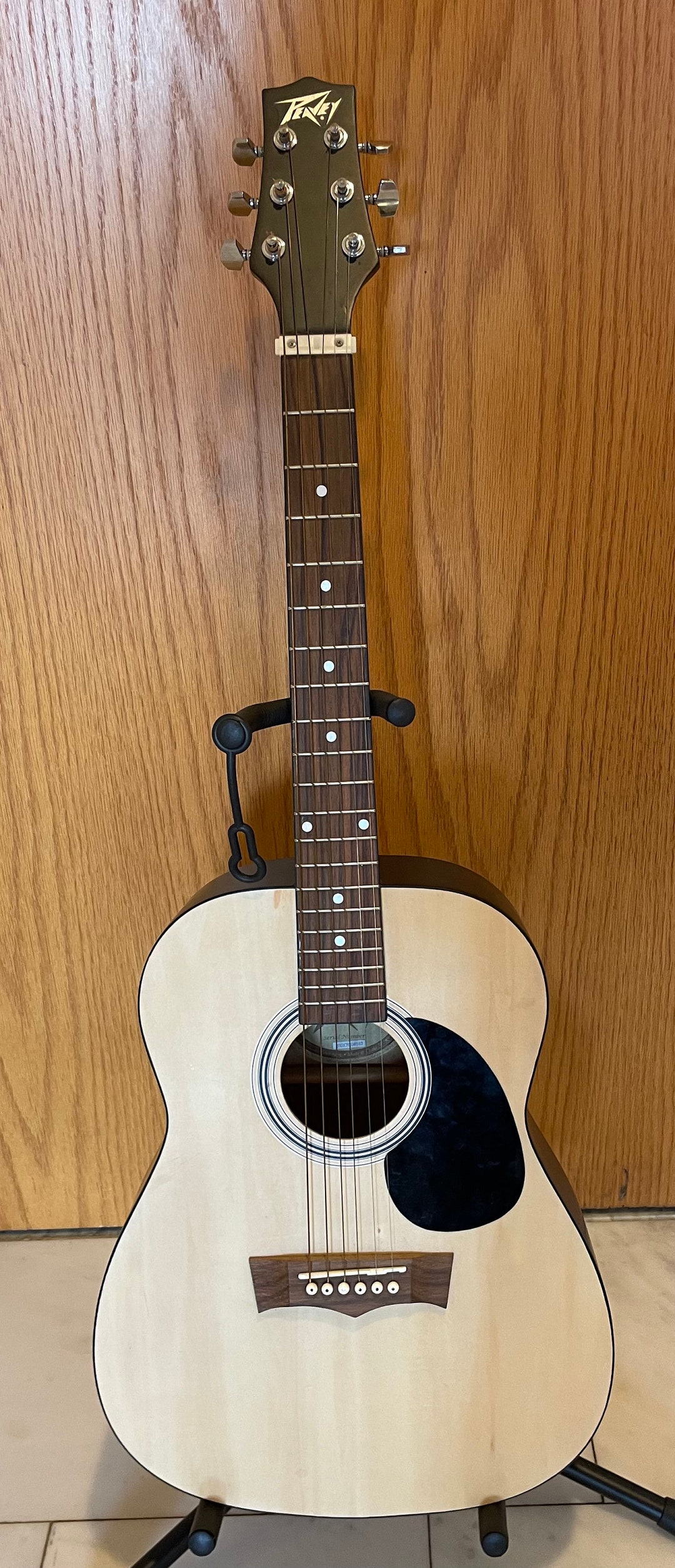 Peavey Acoustic Guitar. Newer - Etsy