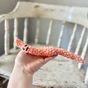 Crochet Worm | Amigurumi Worm | Worm Plushie | 7 Inch Stuffy - Etsy