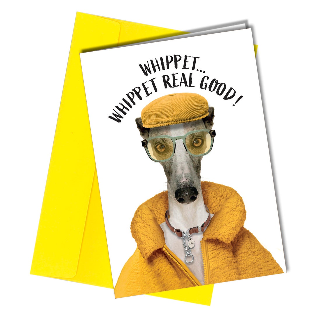 Funny Whippet Birthday Card: Dog Portrait, Retro Style - Etsy UK