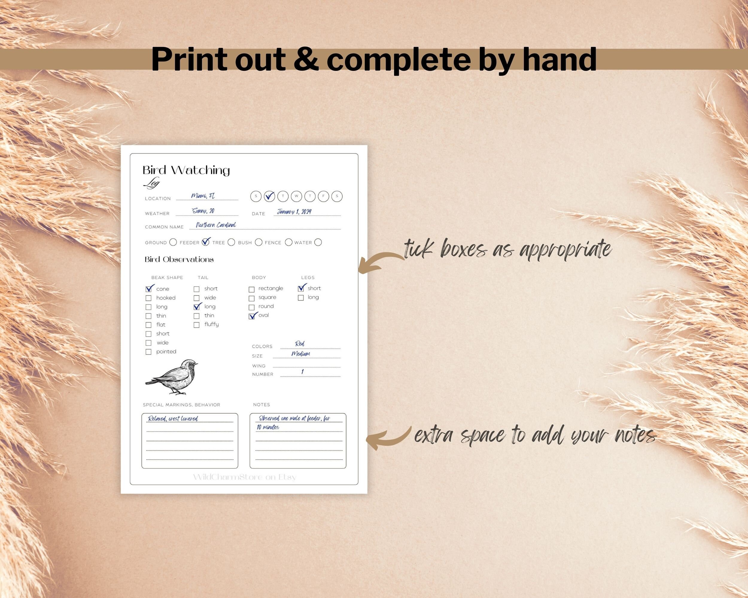 Bird Watching Log, Backyard Birding, Homeschool Bird Logbook, Bird ...