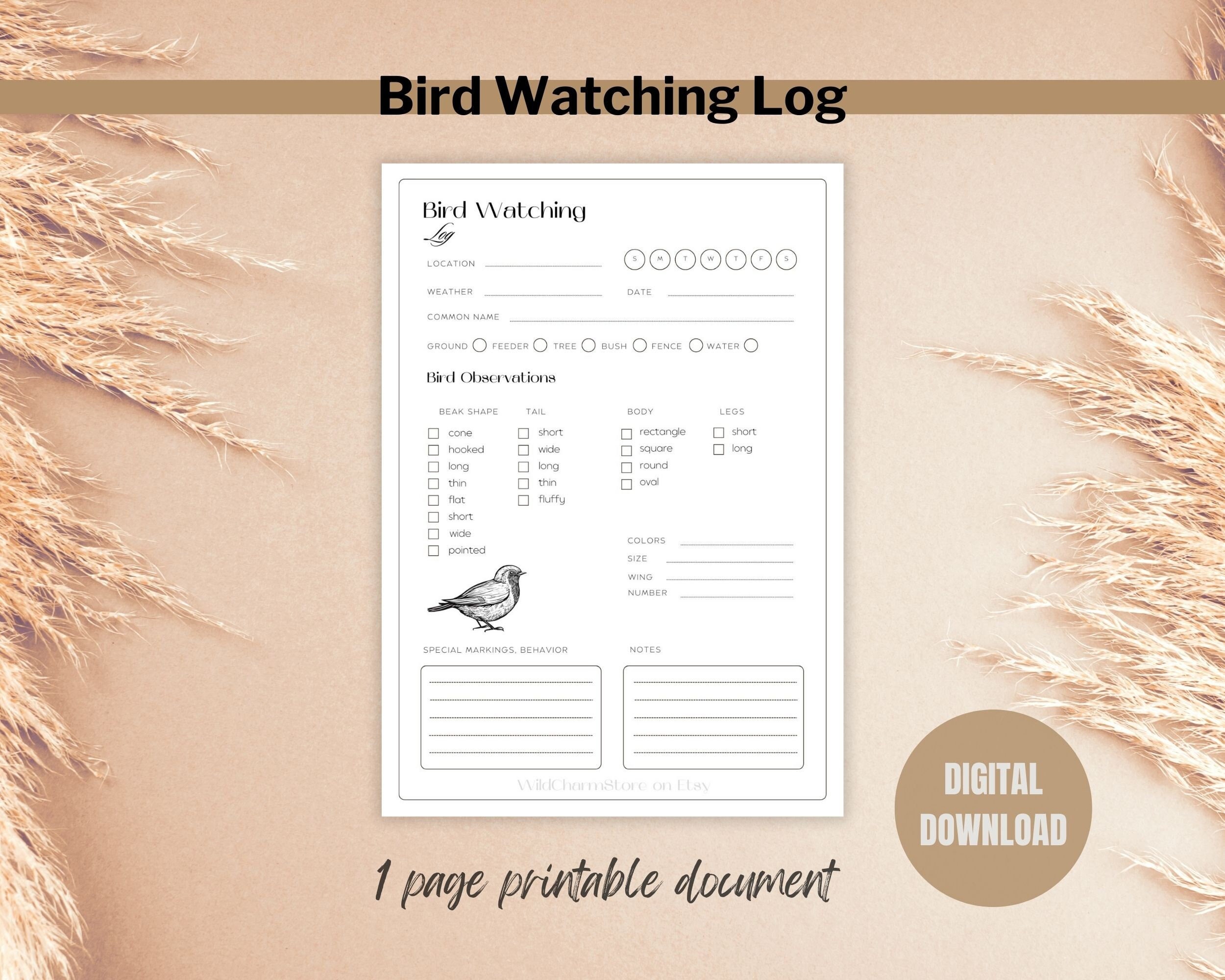 Bird Watching Log, Backyard Birding, Homeschool Bird Logbook, Bird ...