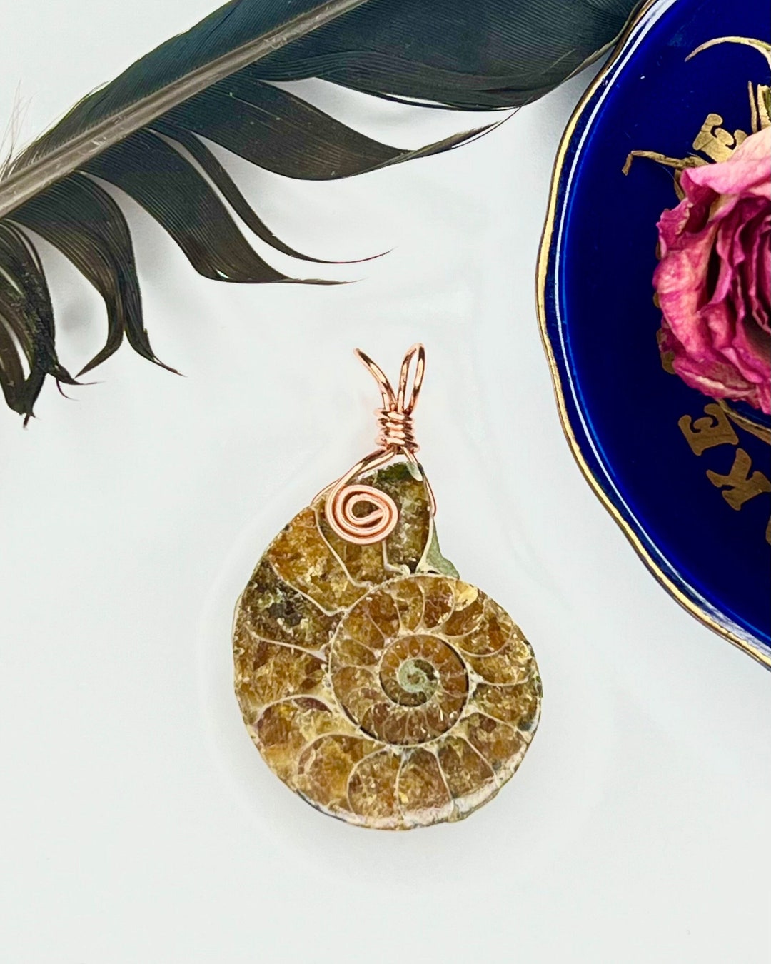 Ammonite Fossil Wire Wrapped Pendant - Etsy