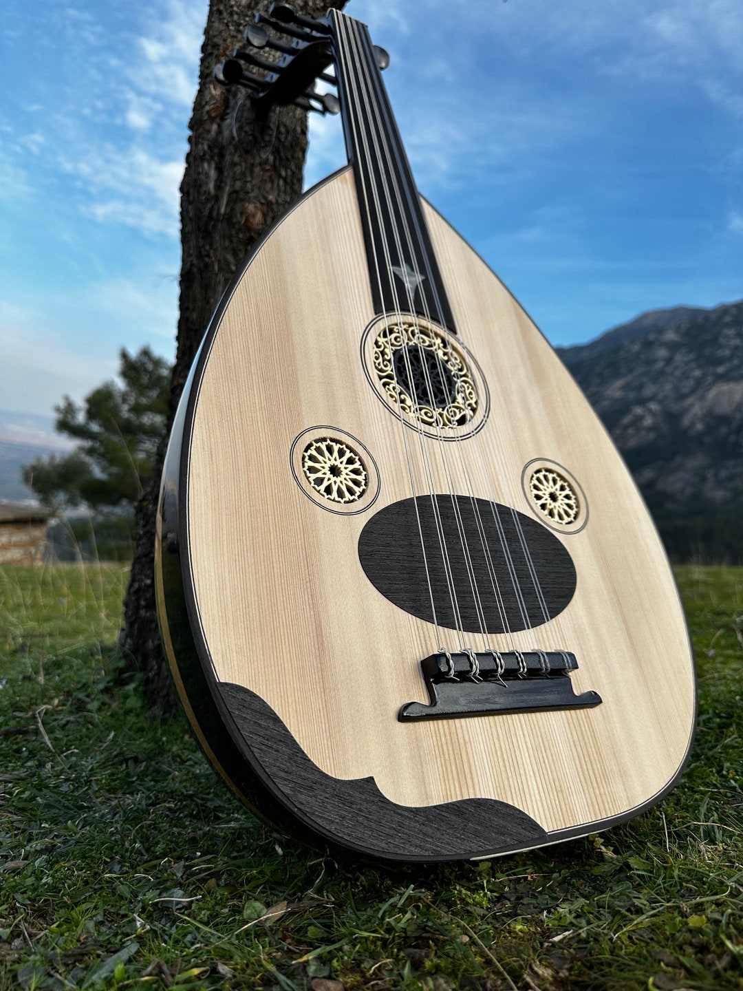Professional Turkish Oud Instrument - Handcrafted Traditional Lute for ...