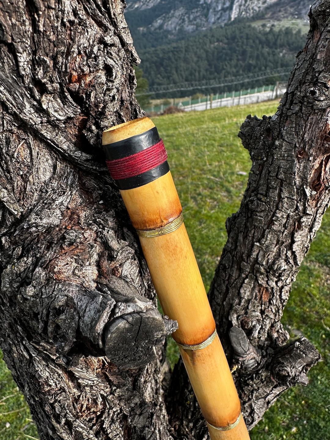 Authentic Arabian Ney Flute Instrument - Handcrafted Middle Eastern ...