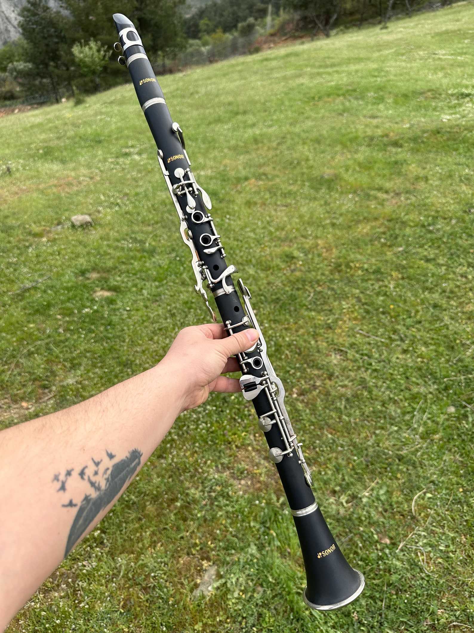 Professional Black G Key Clarinet - High-quality Ebony Body, Silver ...