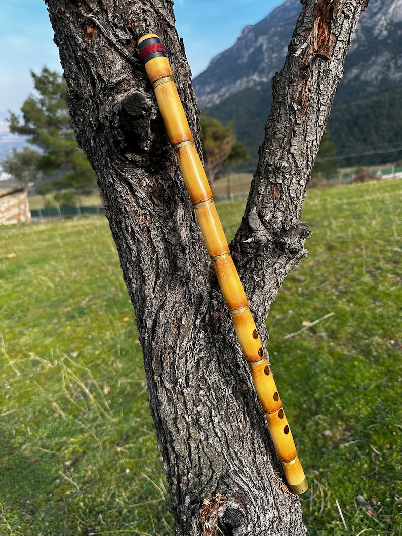 Authentic Arabian Ney Flute Instrument - Handcrafted Middle Eastern ...
