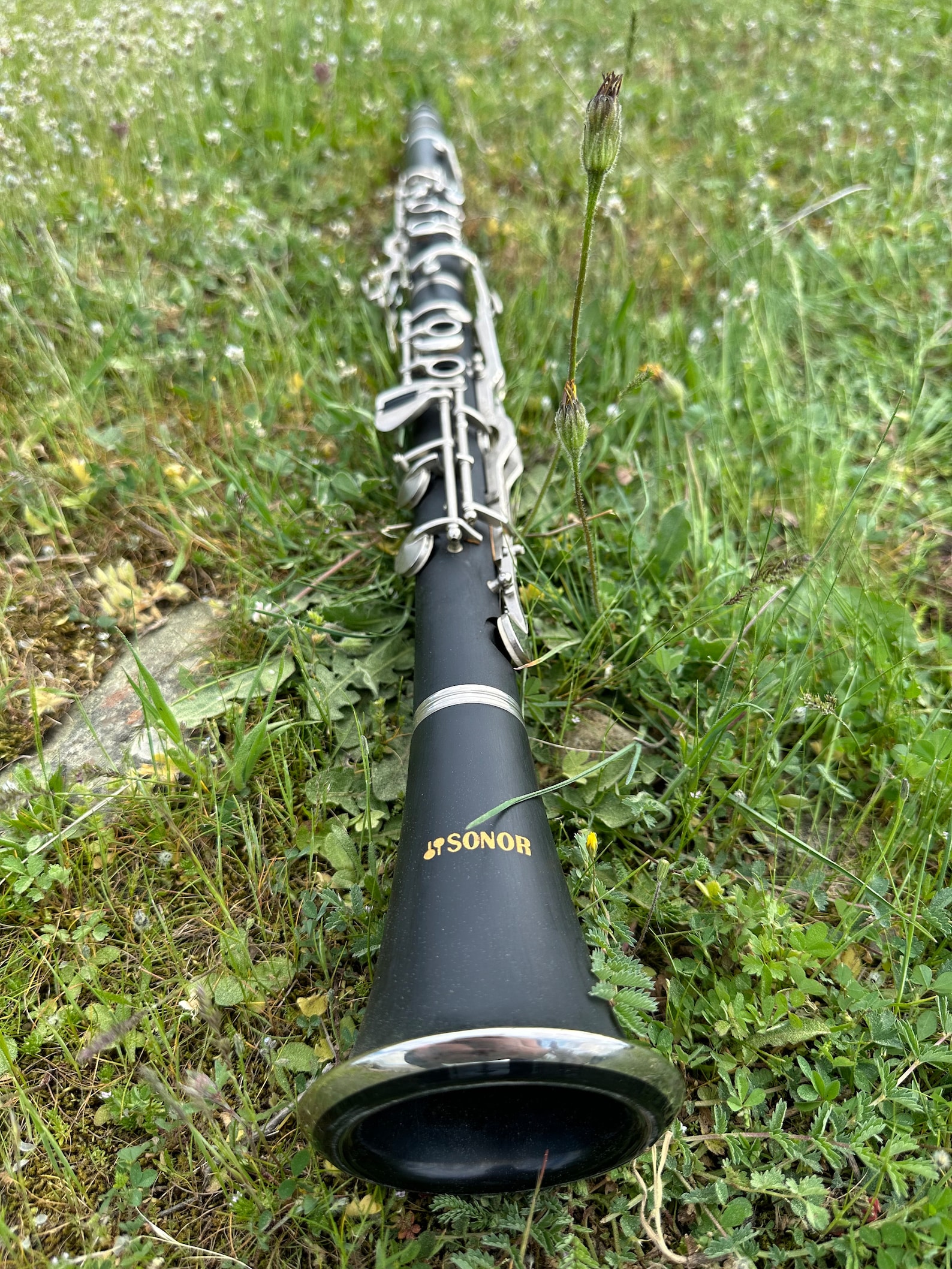 Professional Black G Key Clarinet High-quality Ebony Body, Silver ...