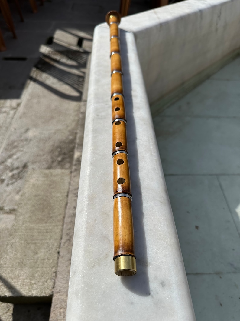 Professional Turkish Nay Flute - Handcrafted Middle Eastern Instrument ...