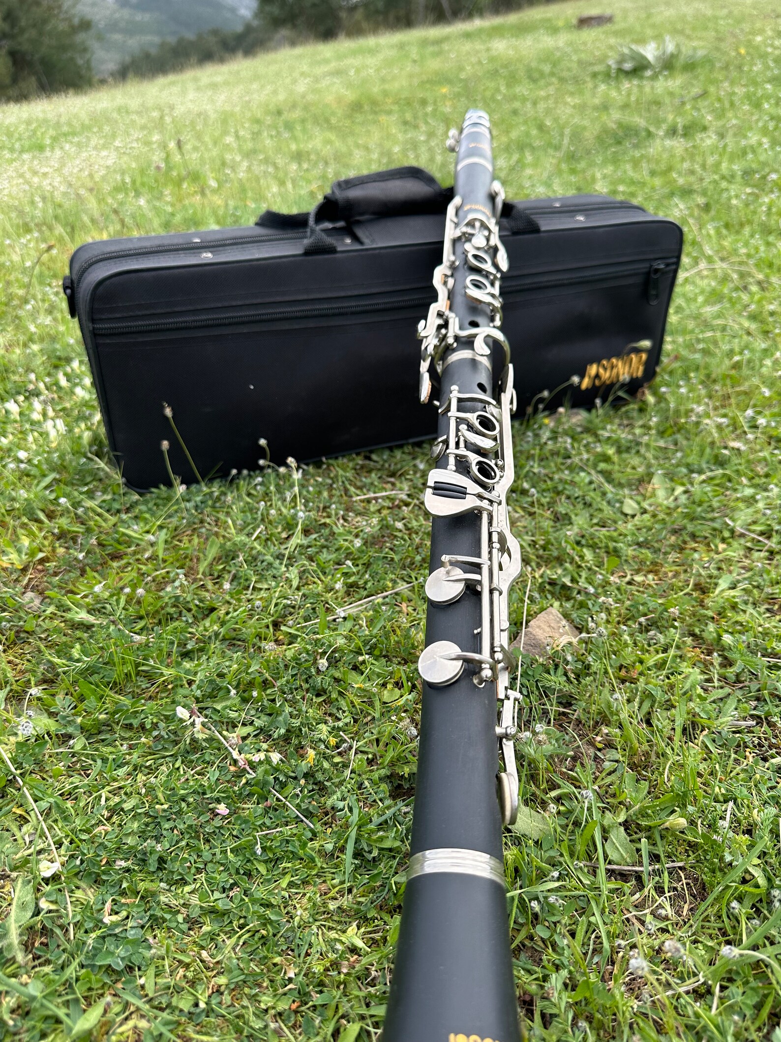 Professional Black G Key Clarinet - High-quality Ebony Body, Silver ...
