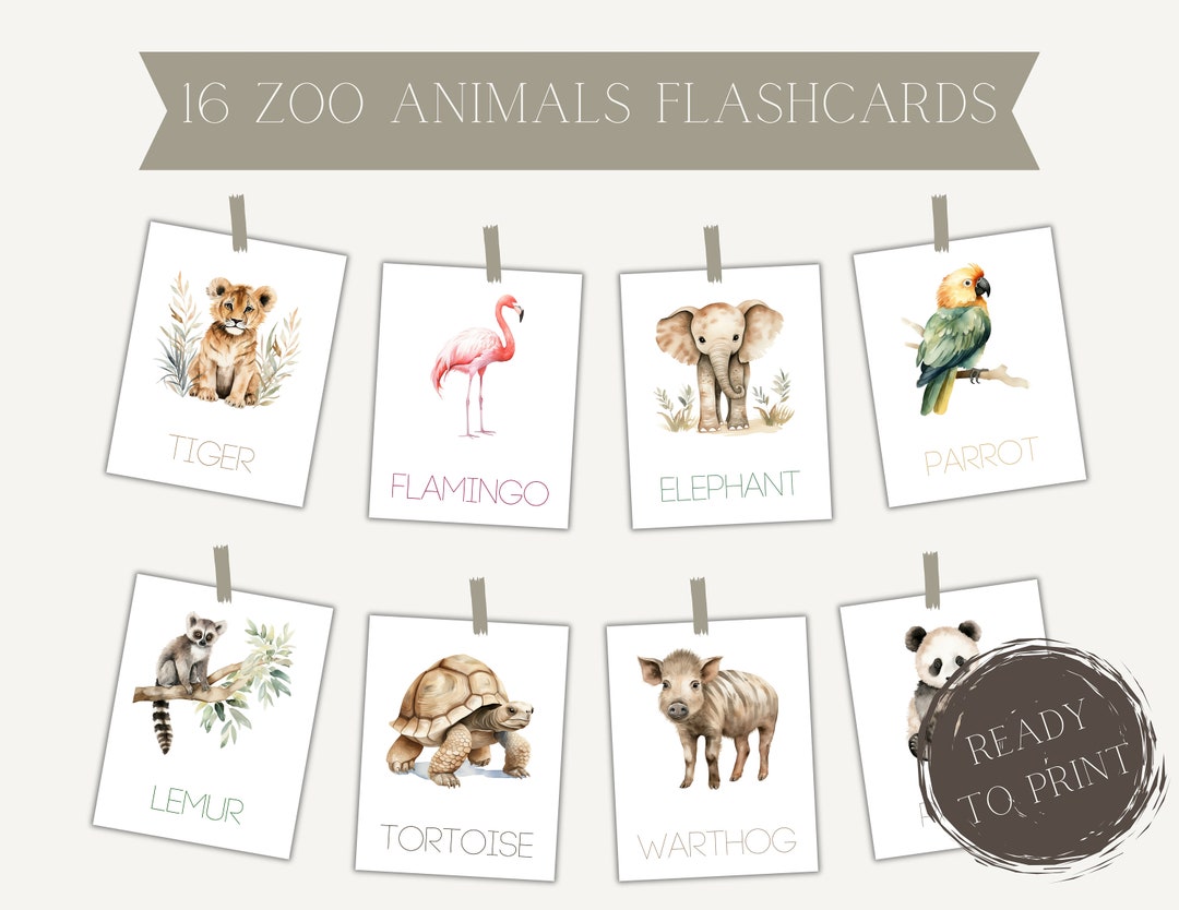 Watercolor Zoo Animals Flashcards, Montessori Flashcards, Esucational ...