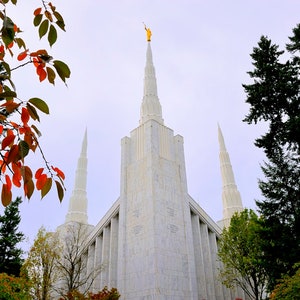 Printable Portland LDS Temple Digital Download, Digital Temple Photo ...