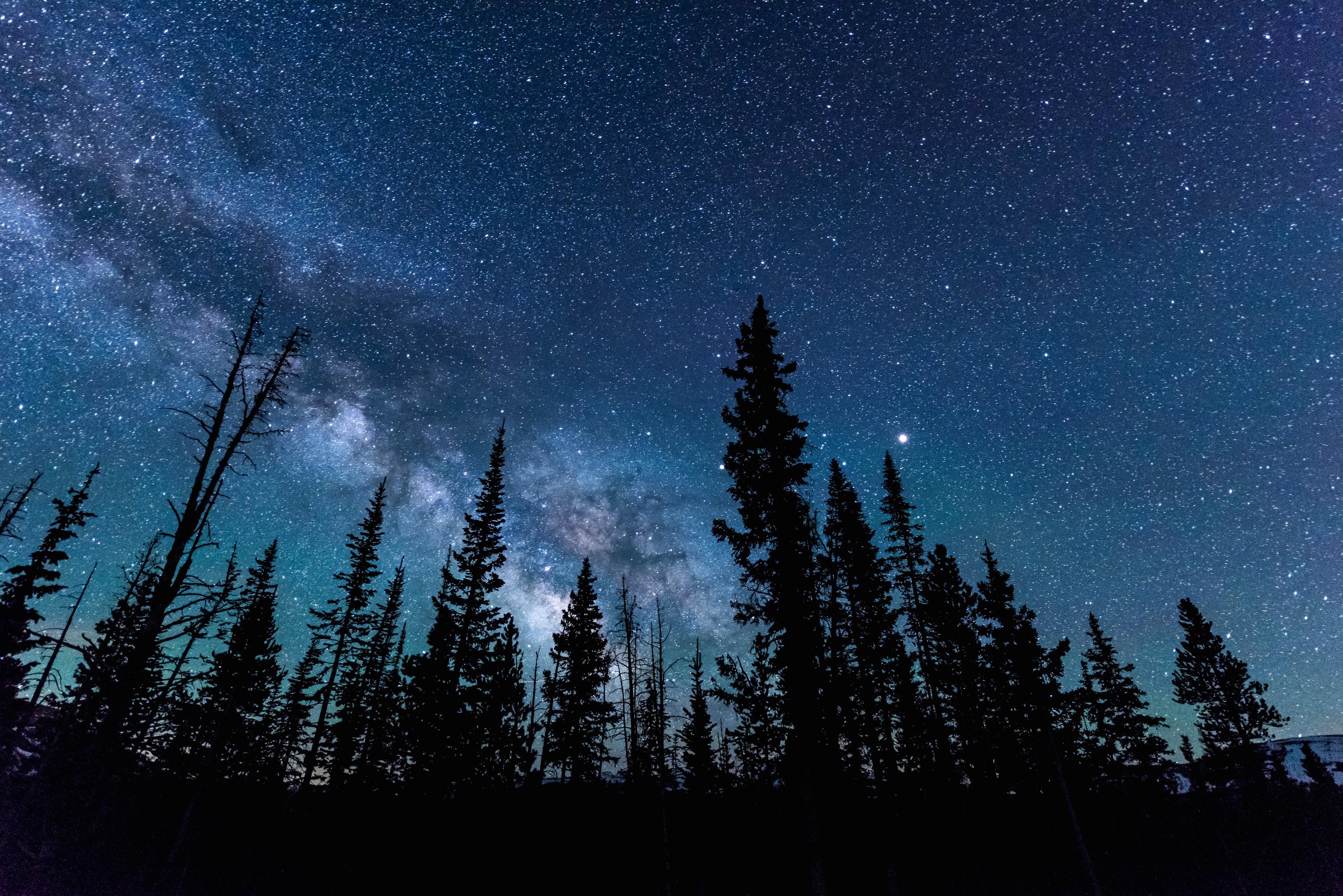 Galatic Forest, Milky Way Over the Uintah Mountains Utah, Milky Way ...