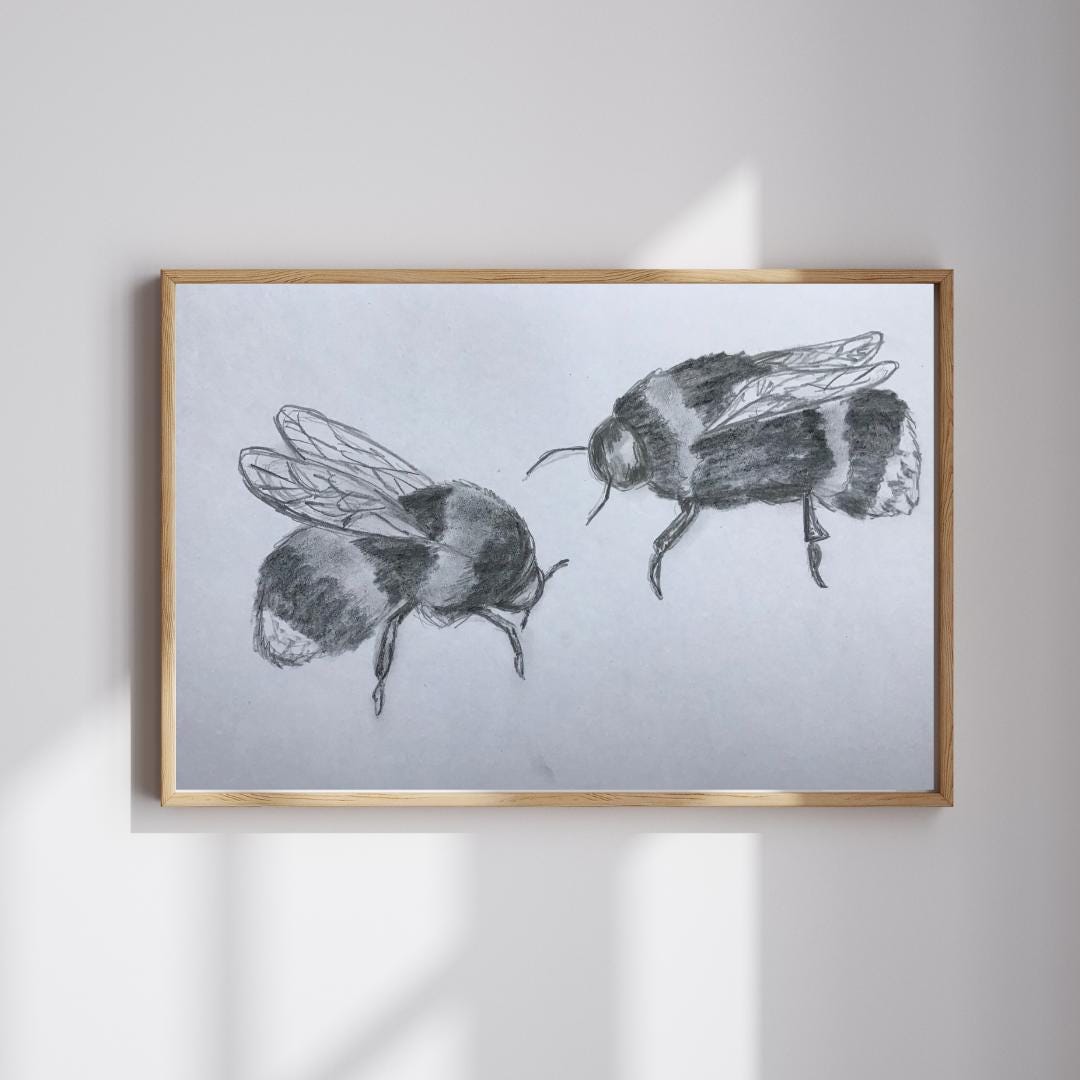 Bee Illustration in Charcoal: Stylish Insect Art, Honey Bee, Bee Lover ...